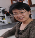 Editorial Board | SciDoc Publshers